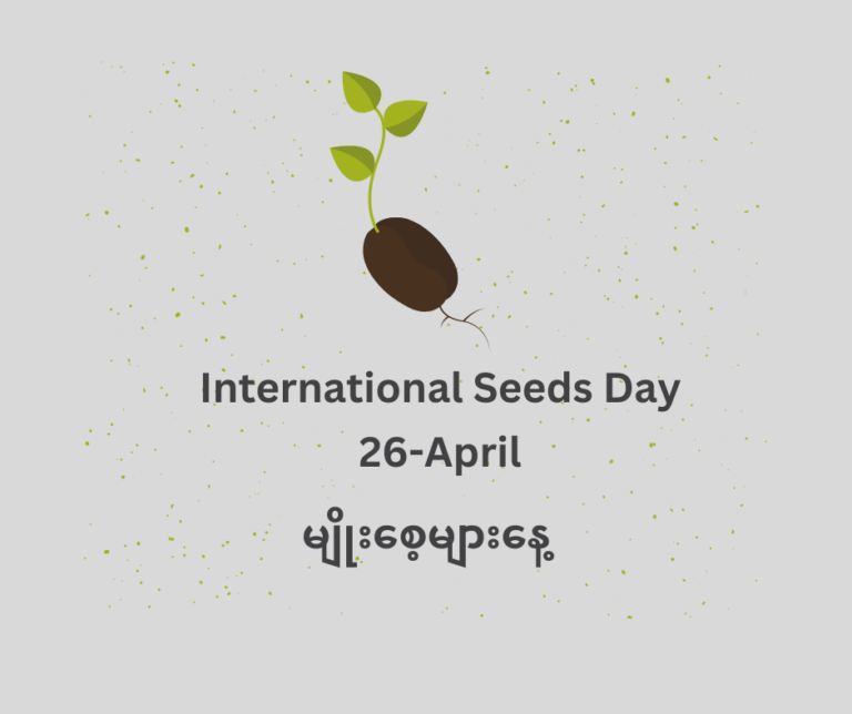 International Seeds Day 2023 – Land in Our Hands
